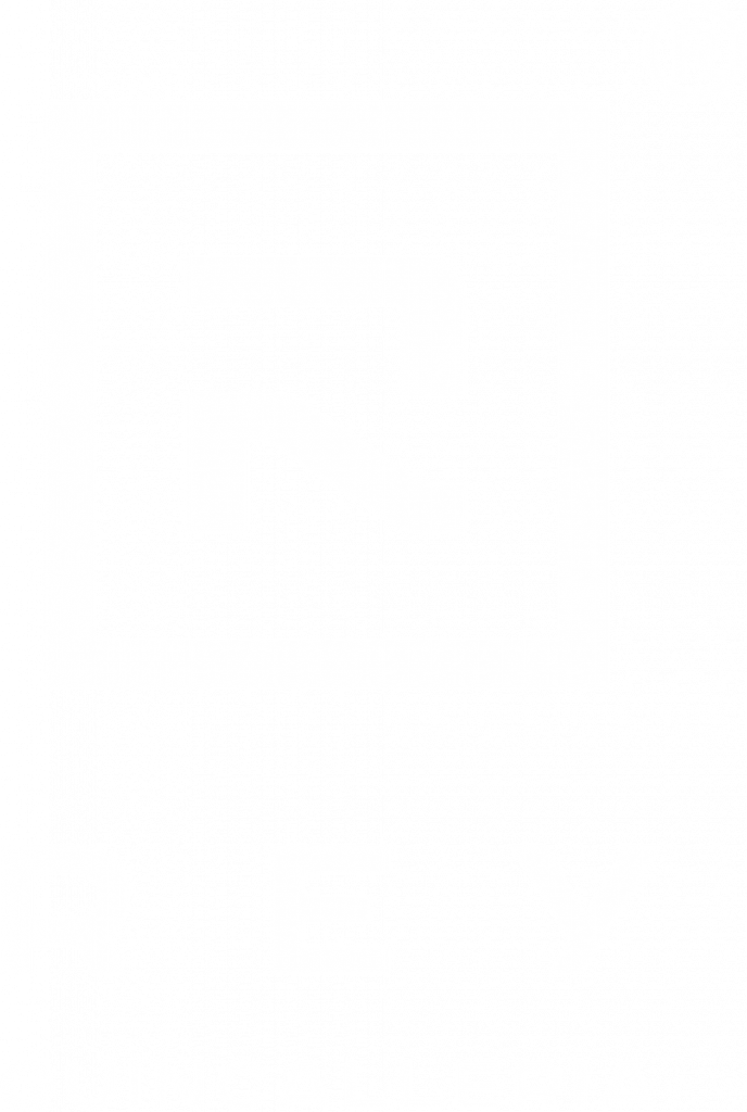 Rey | Detalles de Excelencia